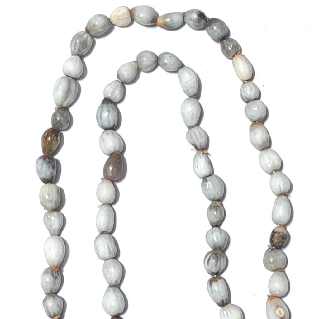 Vaijanti Mala Original - Kashi Pujan