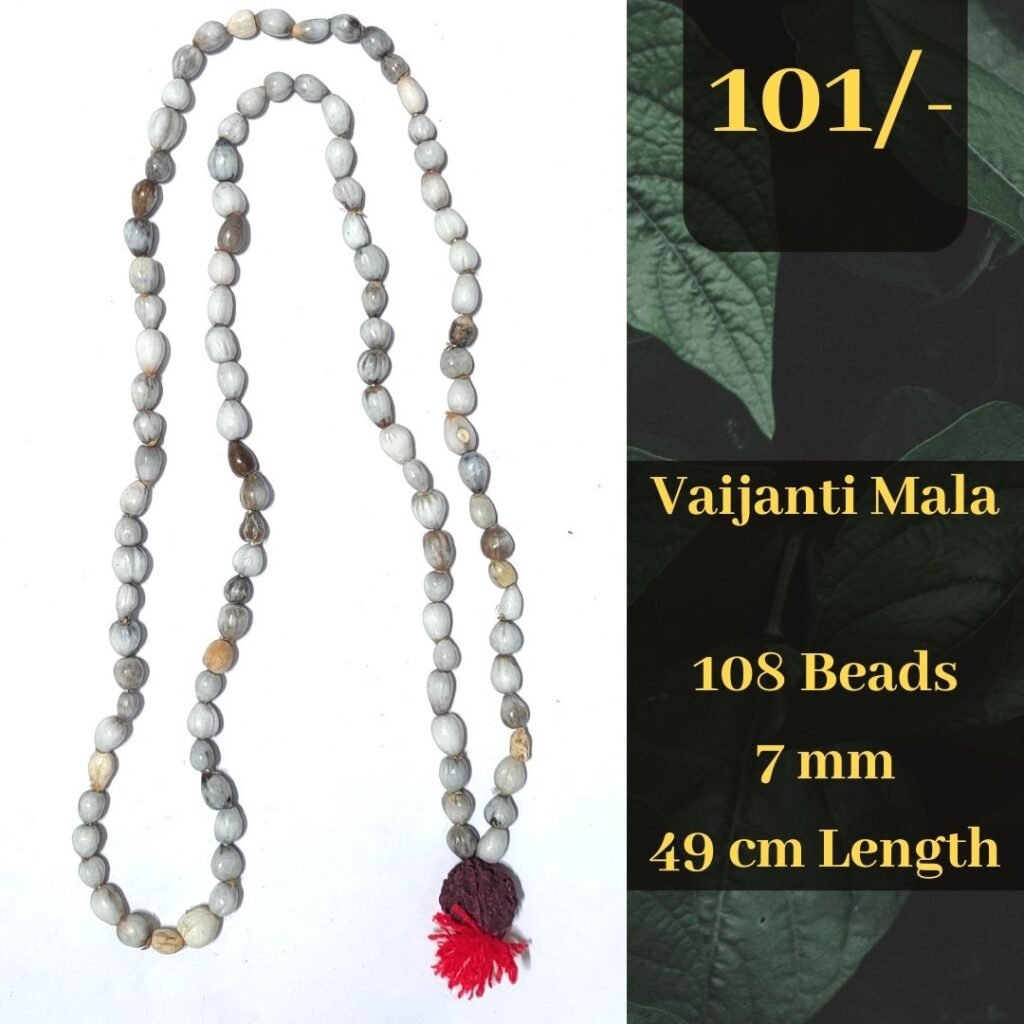 Vaijanti Mala - Kashi Pujan